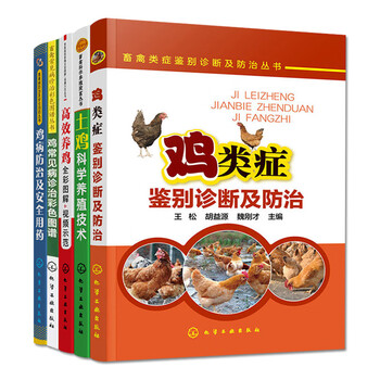 畜禽病防治及安全用药丛书 五本 鸡病防治及安全用药+高效养鸡全彩图解 视频示范+土鸡科学养殖技术+鸡类症鉴别诊断及防治等
