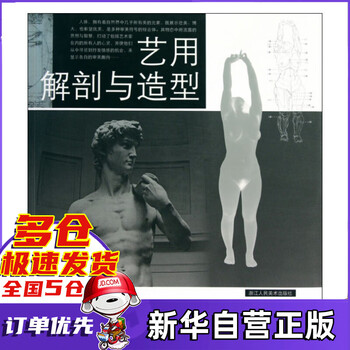 艺用解剖与造型
