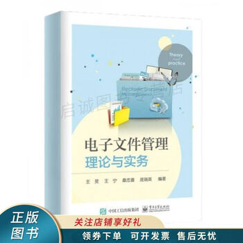 电子文件管理：理论与实务 王灵