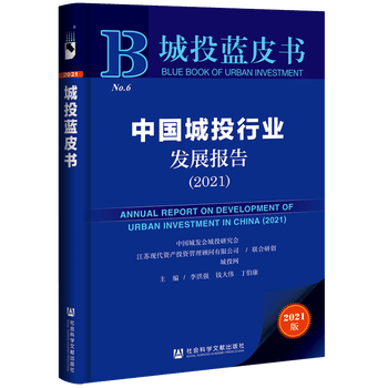  城投蓝皮书：中国城投行业发展报告（2021）（No.6）