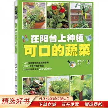 在阳台上种植可口的蔬菜