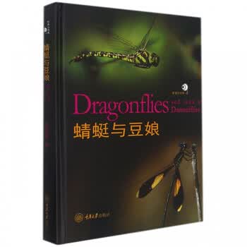 蜻蜓与豆娘 金洪光