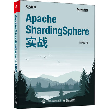 Apache ShardingSphere实战 郑天民  书籍
