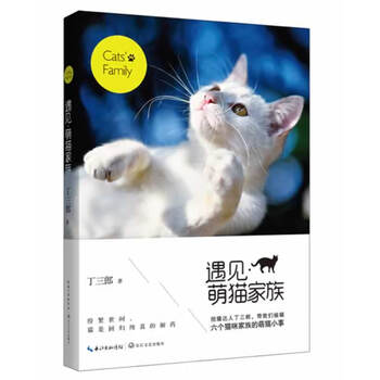 遇见 萌猫家族 丁三郎