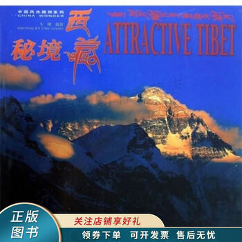 秘境西藏 车刚