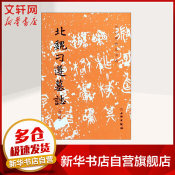北魏刁遵墓志(修订版) 历代碑帖法书选 文物出版社有限公司