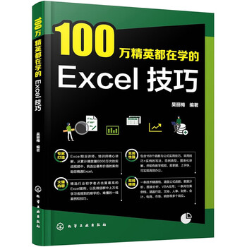 正版100万精英都在学的Excel技巧 化学工业出版社
