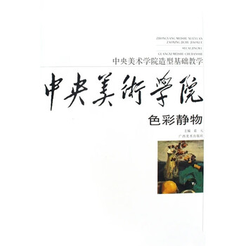 中央美术学院造型基础教学 色彩静物 袁元