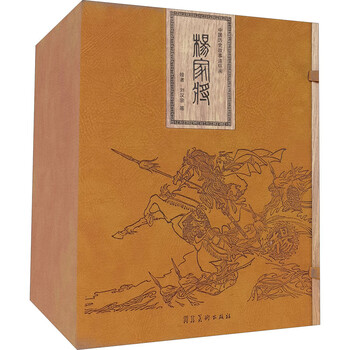 杨家将 大宣（套装共21册）