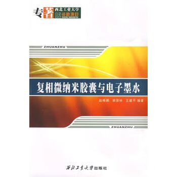 复相微纳米胶囊与电子墨水 9787561220344【正版 可开发票】