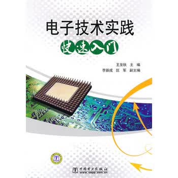 电子技术实践快速入门 王至秋 中国电力出版社