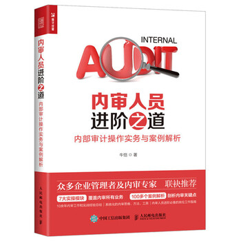 内审人员进阶之道 内部审计操作实务与案例解析 企业财务会计管理 内控风控审计书籍 公司内审员内审经理