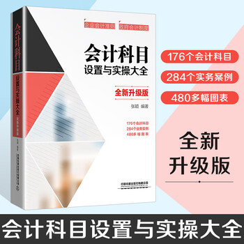新版 会计科目设置与实操大全 解析176个会计科目的设置与具体运用 行政事业单位会计 会计科目设置与实战大全 会计分录大全