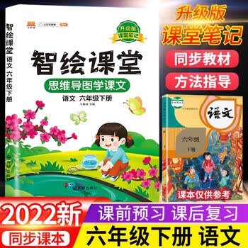 2022年新课堂笔记汉之简黄冈升级智绘课堂语文六年级下册智慧随堂笔记部编人教版小学