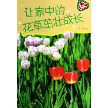 让家中的花草茁壮成长