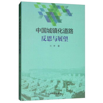 中国城镇化道路反思与展望