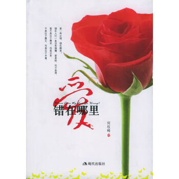 爱错在哪里【正版图书】
