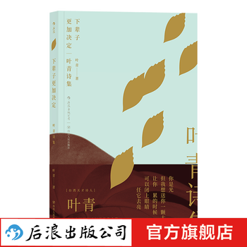 下辈子更加决定：叶青诗集  台湾诗人叶青 现代诗集  后浪正版