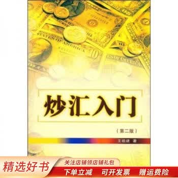 炒汇入门第2版