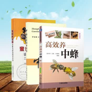 3本 高效养中蜂+中蜂高效饲养技术+蜜蜂病虫害诊断与防治技术全套高效中华蜜蜂中蜂养殖饲养书教程百科教