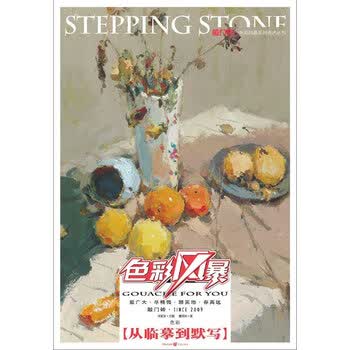 色彩风暴 从临摹到默写【正版图书】
