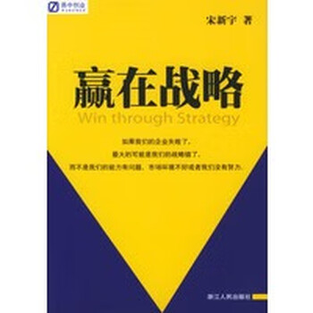 赢在战略 宋新宇 浙江人民出版社