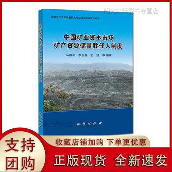 k【正版  中国矿业资本市场矿产资源储量胜任人制度 地质出版社