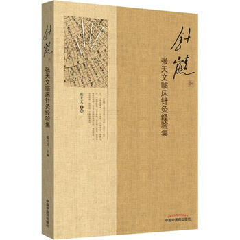 针髓 张天文临床针灸经验集【正版图书】
