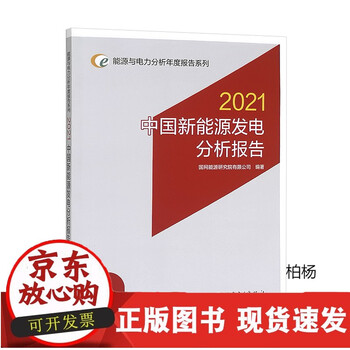 C能源与电力分析年度报告系列 2021 中国新能源发电分析报告