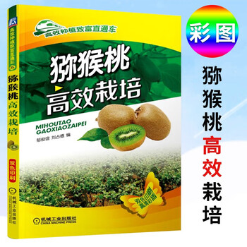 猕猴桃高效栽培 猕猴桃种植方法 猕猴桃栽培技术大全书籍 病虫害综合防治 土肥水综合管理 整形修剪 花