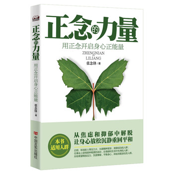 正念的力量 用正念开启身心正能量 张念锋