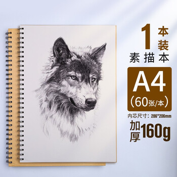 2本素描本A4美术生手绘专用素描纸16K小学生用空白图画本儿童幼儿园8k涂鸦本加厚成年初学者动漫彩铅纸画本 A4加厚-160克（1本/无赠品）