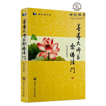 包邮正版 善导大师与念佛法门 林克智编述 宗教文化出版社297页