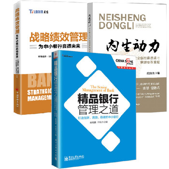 【全3册】内生动力中小银行的全新经营逻辑与管理变革策略+精品银行管理之道打造创新高效稳健的中小银行+战略绩效管理中国金融