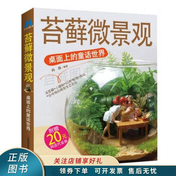 苔藓微景观：桌面上的童话世界 屿路