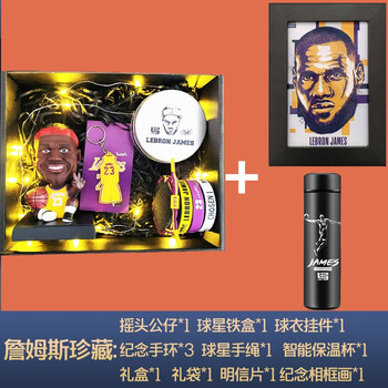 球星科比詹姆斯库里篮球周边公仔人偶手办生日情人节礼物纪念品送男生 詹姆斯珍藏款