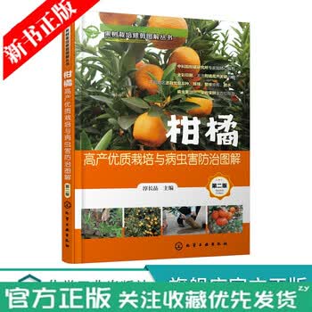 果树栽培修剪图解丛书 柑橘高产栽培与病虫害防治图解 柑橘培育书籍 图解柑橘栽培书籍  柑橘甜桔高 柑橘