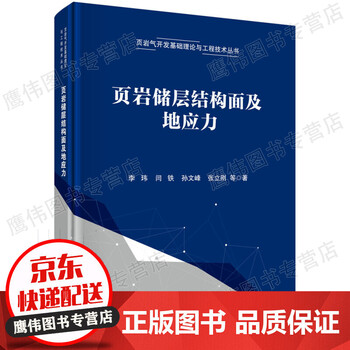 页岩储层结构面及地应力 李玮等页岩储层结构面的识别与描述方法宏微观多尺度结构系统表征方法地应力场测试方法与建模 正版保障