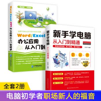 全2册】新手学电脑办公应用软件零基础从入门到精通word excel ppt办公软件wps教材教程计