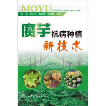正版魔芋抗病种植新技术 实用 化学工业出版社