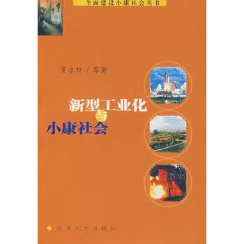 新型工业化与小康社会【正版图书】