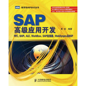 SAP高级应用开发 黄佳 著【正版书】