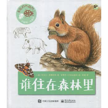 官方正版 身边的大自然系列 身边的大自然 谁住在森林里 全彩 童书 11-14岁 科普百科 涂色游