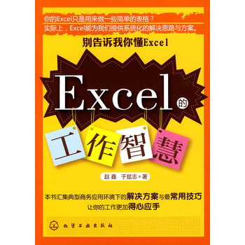 Excel的工作智慧 赵鑫,于兹志 化学工业出版社