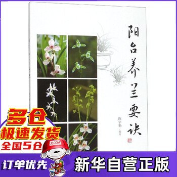 阳台养兰要诀