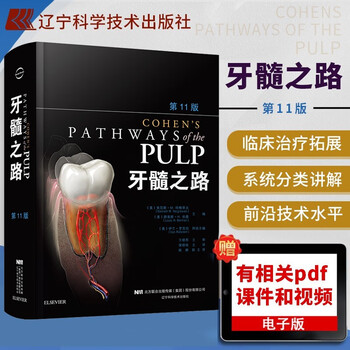 牙髓之路 第11版  根管治疗学 牙体牙髓病 根管治疗图谱 牙科牙髓病治疗根管治疗图谱 口腔种植技术 口腔医学类专业书籍 牙髓修复牙体种植 口腔临床医师实用工具书