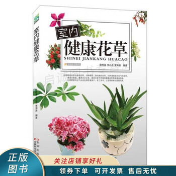 室内健康花草 徐晔春