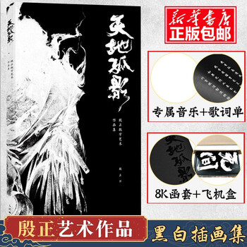 天地孤影 殷正数字艺术作品集 新书