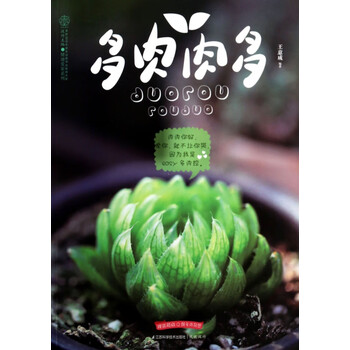 多肉肉多/健康爱家系列