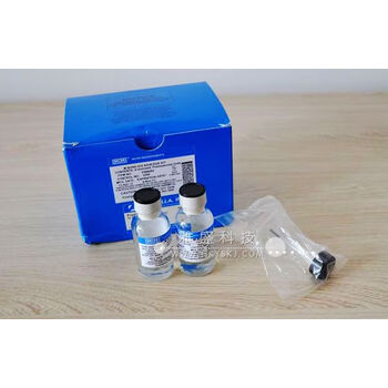 lieve现货雅盛科技/美国原装进口 M-BOND 610离子减薄树脂/试剂粘结用【图片 价格 品牌 报价】-京东